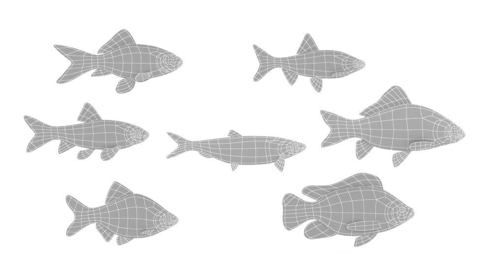 Assorted Freshwater Fish Collection 3D model - Download Fish on ...