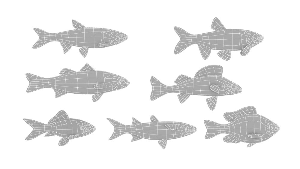 Collection of Various Freshwater Fish Species 3D model - Download Fish ...
