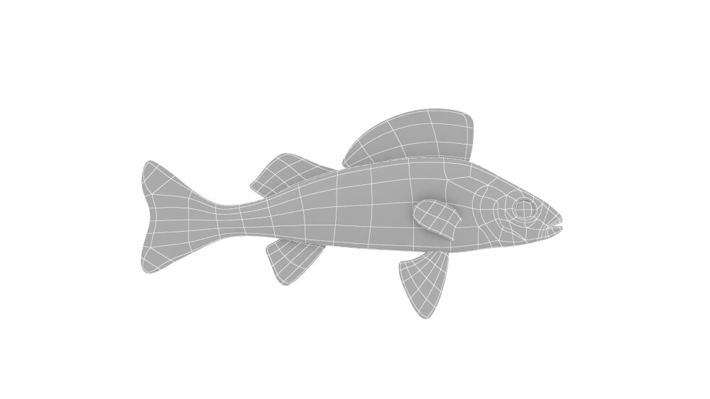 Collection of Various Freshwater Fish Species 3D model - Download Fish ...