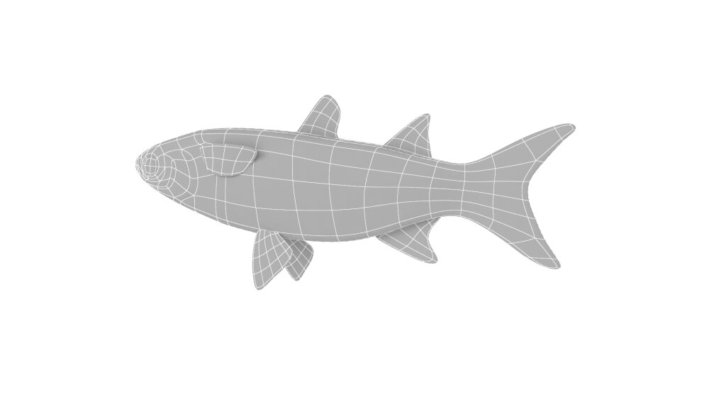 Collection of Various Freshwater Fish Species 3D model - Download Fish ...