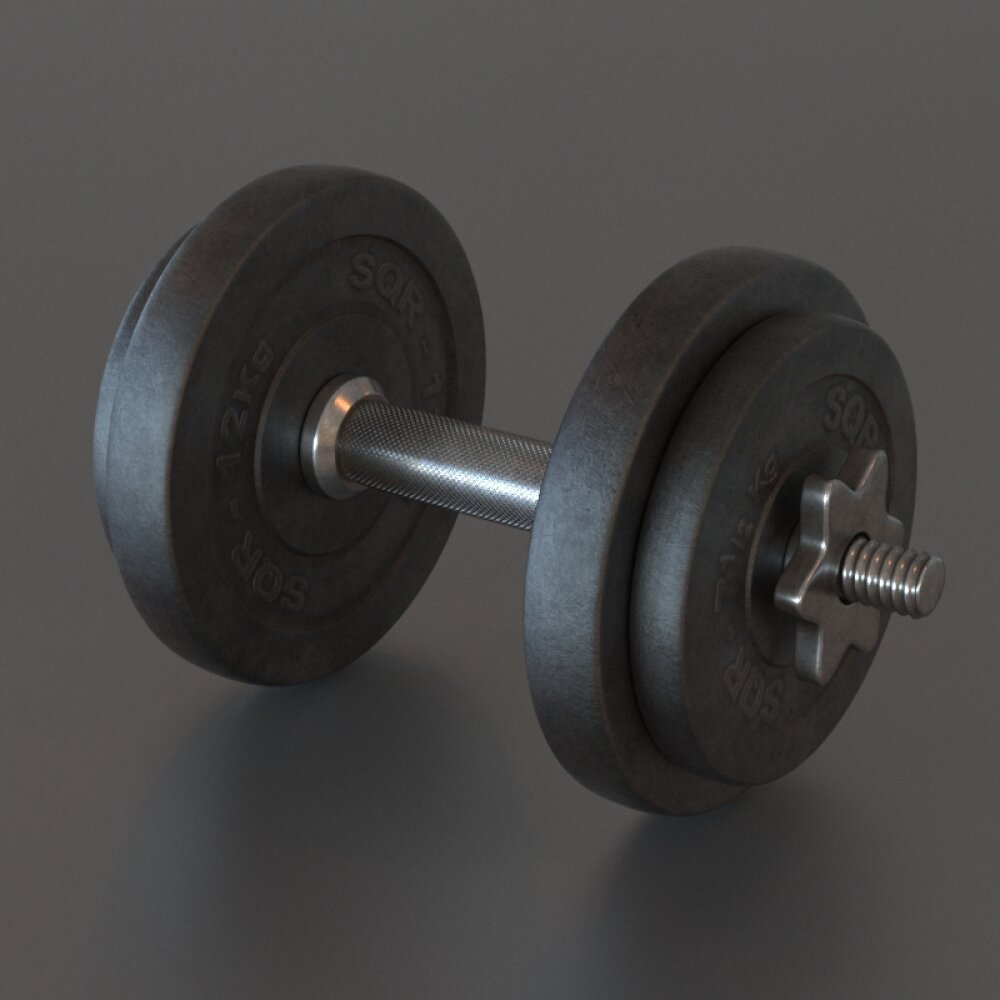Adjustable Steel Dumbbell 3D model - Download Sports Equipment on ...