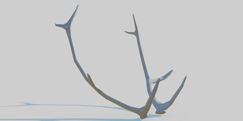 Deer Antlers 3D model - Download Mammals on 3DModels.org