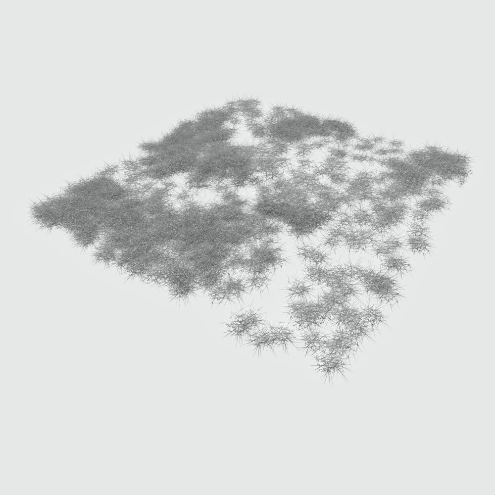 Meadow Patch Ryegrass 3D model - Download Grass on 3DModels.org