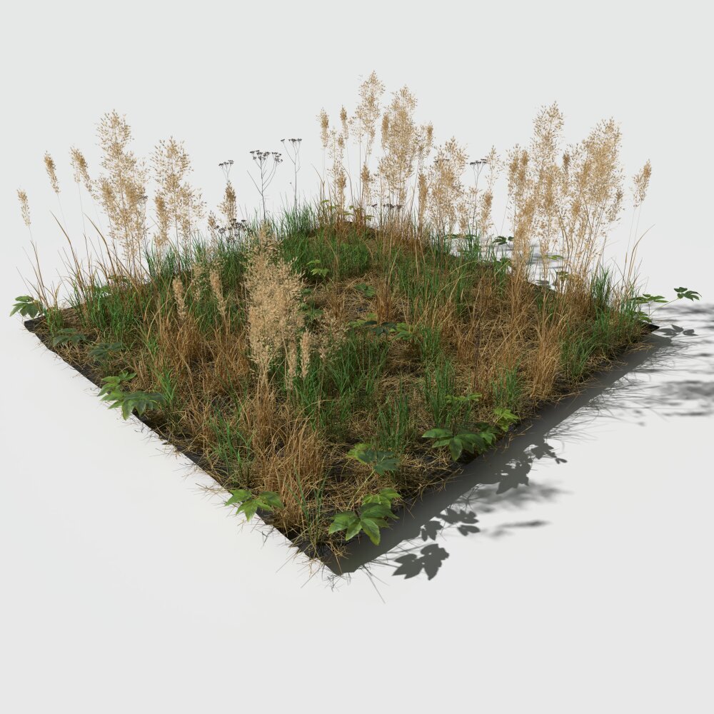 Meadow Patch Dry Bent Grass 3D model - Download Grass on 3DModels.org