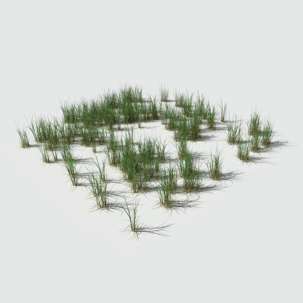 Touceira de Capim Agrostis Seco do Prado Modelo 3D - Baixar Relva no ...