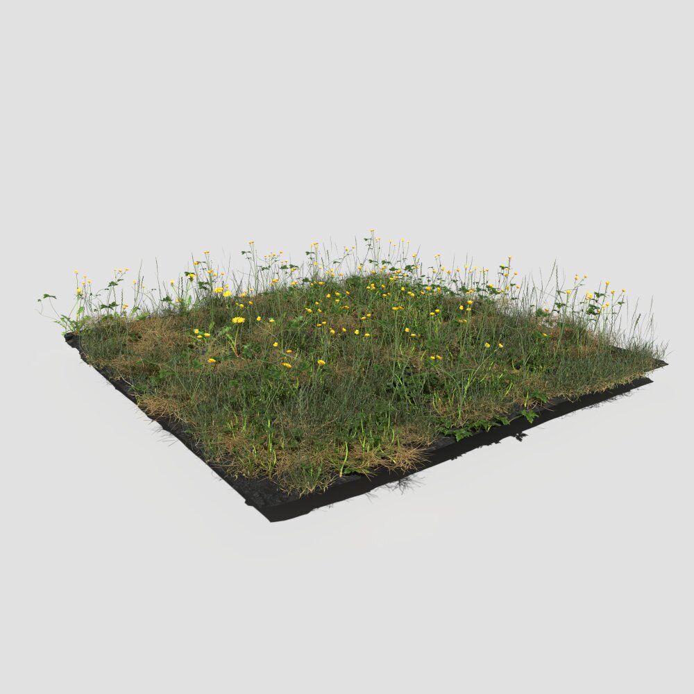Meadow Patch Creeping Buttercup Flower 3D model - Download Landscapes ...