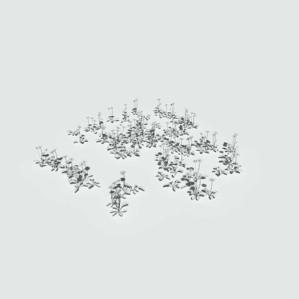 Meadow Patch Daisy 3D model - Download Landscapes on 3DModels.org