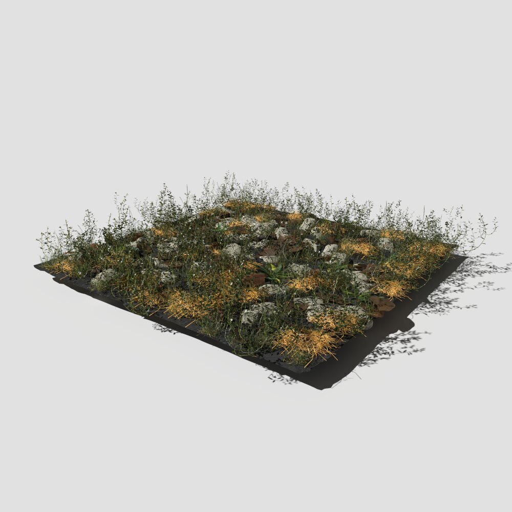 Meadow Patch Knotweed 3D model - Download Landscapes on 3DModels.org