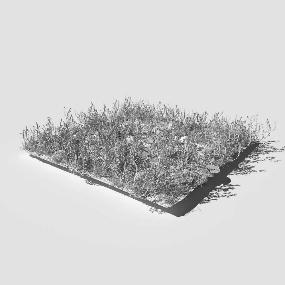 Meadow Patch Knotweed 3D model - Download Landscapes on 3DModels.org