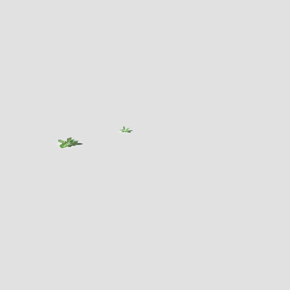 Meadow Patch Knotweed 3D model - Download Landscapes on 3DModels.org