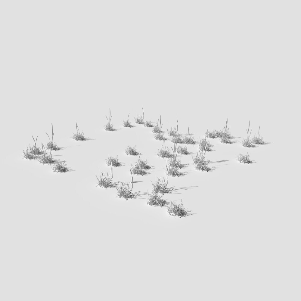 Meadow Patch Knotweed 3D model - Download Landscapes on 3DModels.org