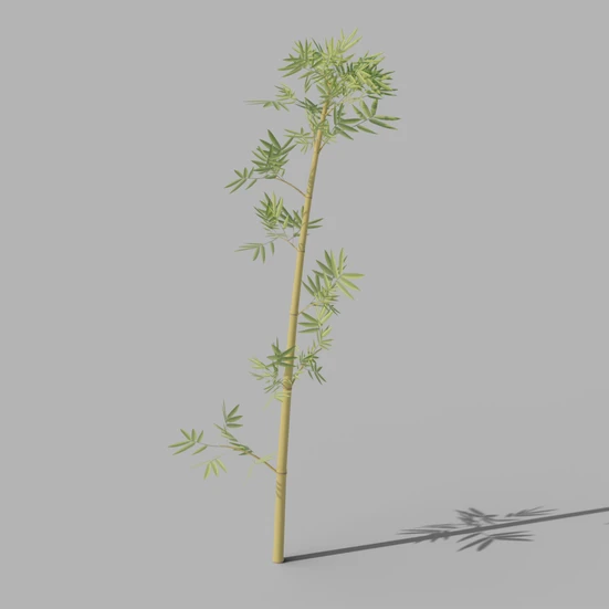 Bamboo 3D Models Download - 3DModels.org