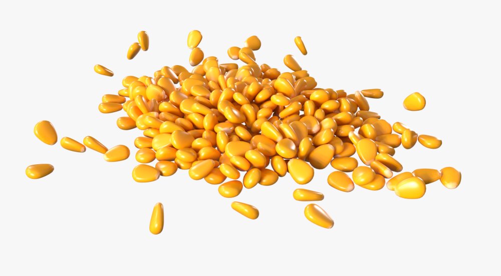 Corn Kernel PBR 3D model - Download Farm Crops on 3DModels.org