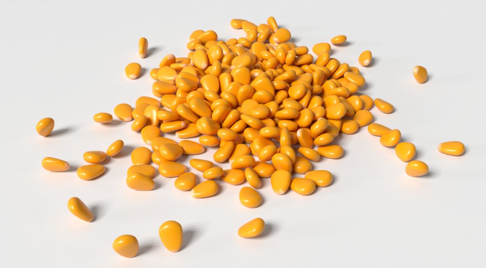 Corn Kernel PBR 3D model - Download Farm Crops on 3DModels.org