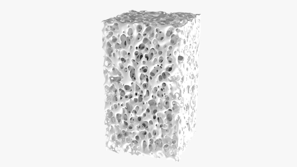 Bone Structure PBR 3D model - Download on 3DModels.org