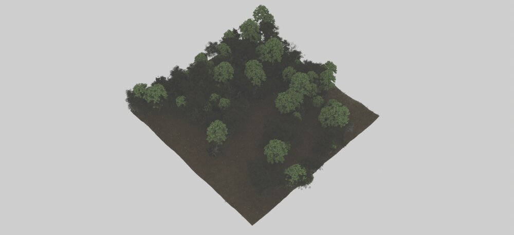 Realistic Animated Forest 3D model - Download Landscapes on 3DModels.org