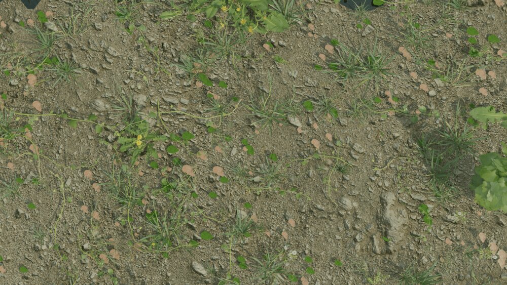 Realistic Forest and Pond 3D model - Download Landscapes on 3DModels.org