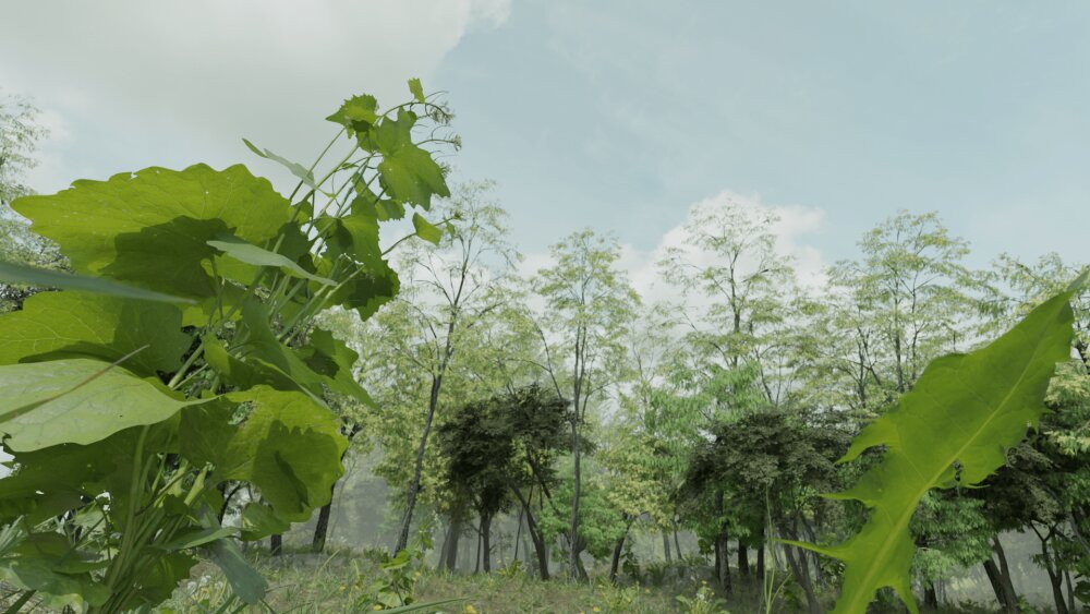 Realistic Forest and Pond 3D model - Download Landscapes on 3DModels.org