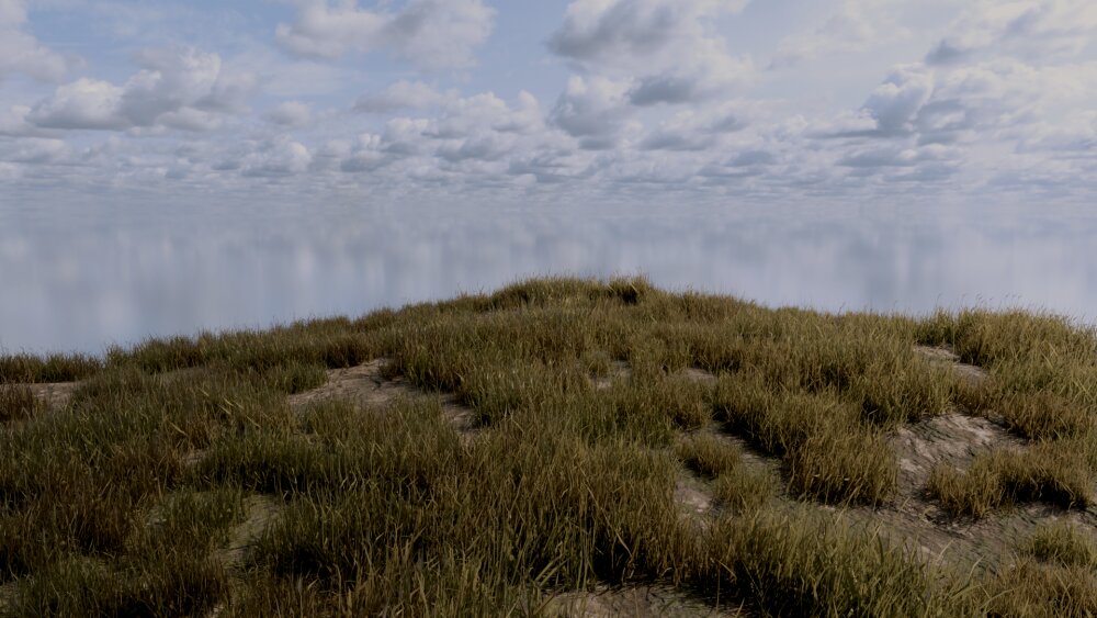 Grass Field 3D model - Download Grass on 3DModels.org
