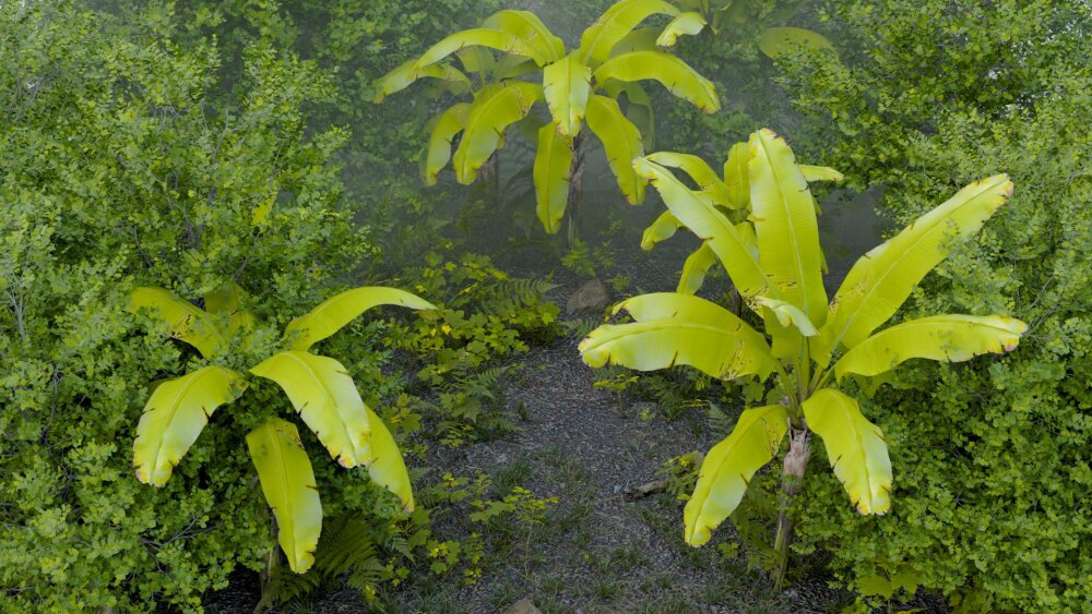 Realistic Jungle Environment 3D model - Download Trees on 3DModels.org