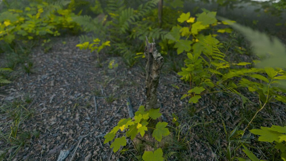 Realistic Jungle Environment 3D model - Download Trees on 3DModels.org