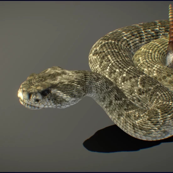 Snake 3D Models Download - 3DModels.org