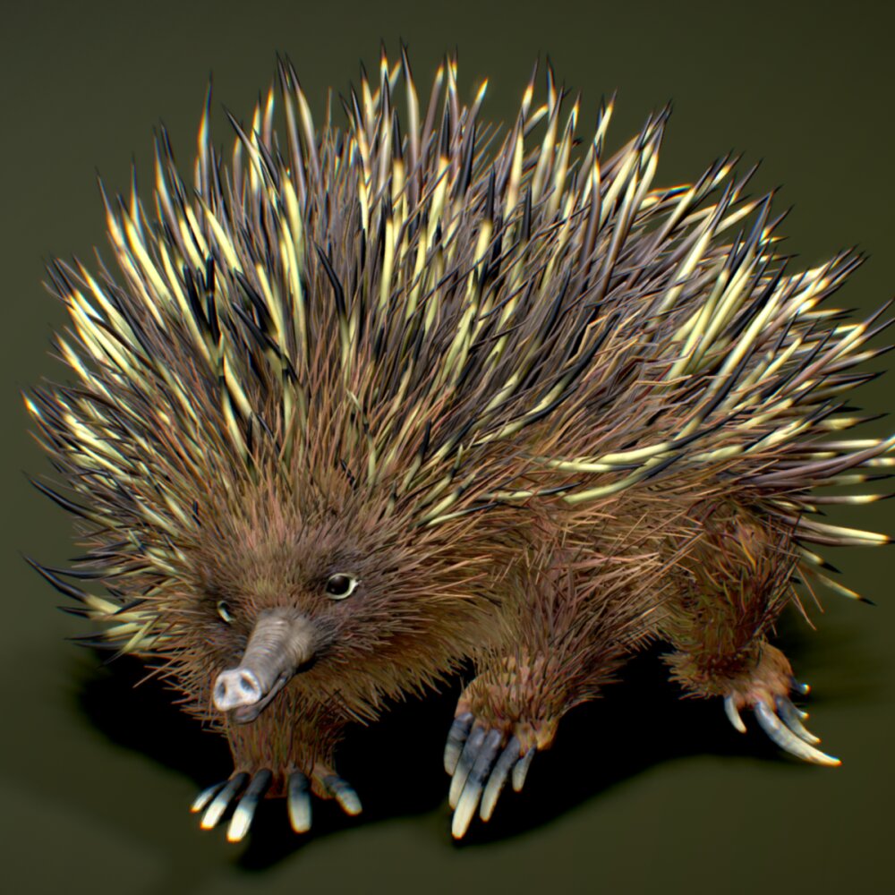 Echidna 3D model - Download Mammals on 3DModels.org