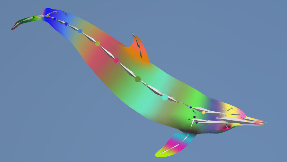 Short-beaked Common Dolphin 3D model - Download Marine Mammal on ...