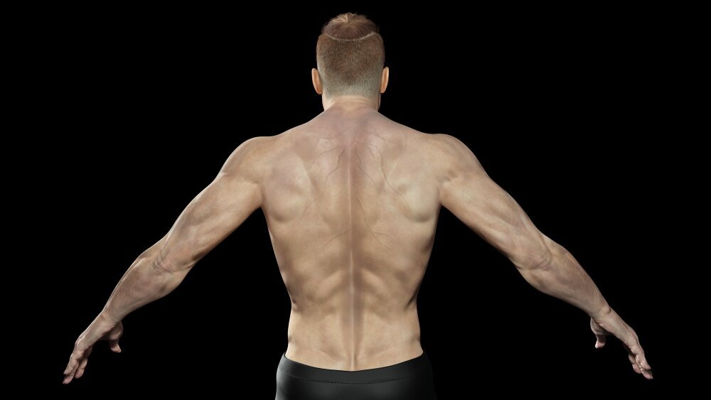 Realistic Strong Man Rigged 3D 모델 - 다운로드 Character on 3DModels.org
