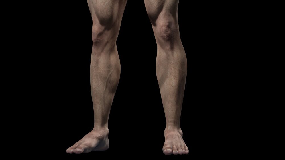 Realistic Strong Man Rigged 3D 모델 - 다운로드 Character on 3DModels.org