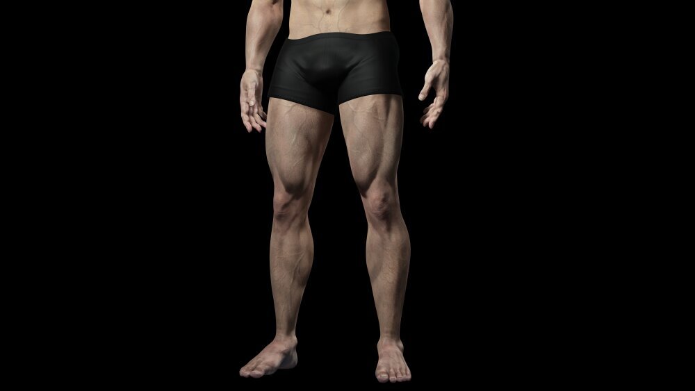 Realistic Strong Man Rigged Modelo 3D - Baixar Character no 3DModels.org