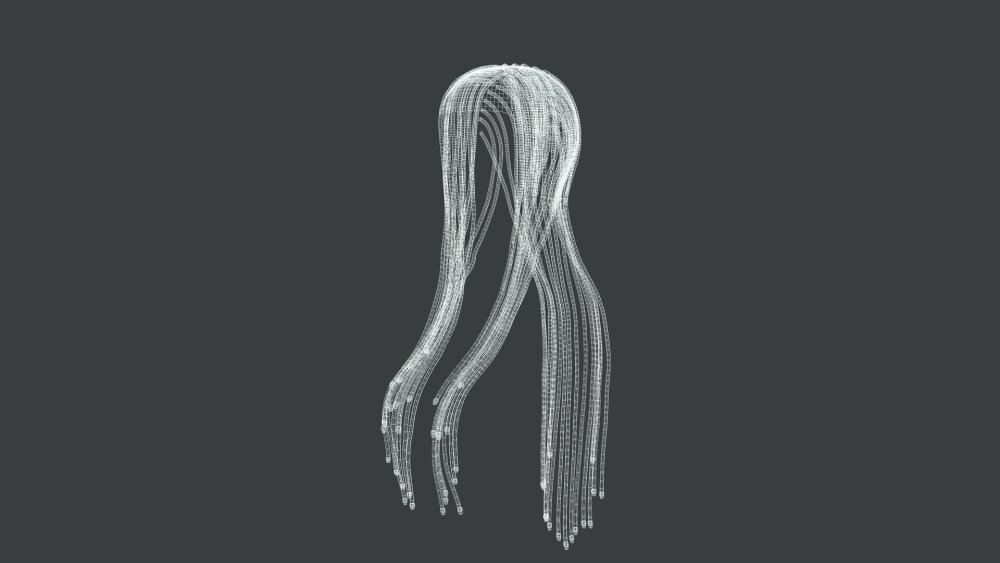 Long Black Braids Hairstyle 3D model - Download Character on 3DModels.org