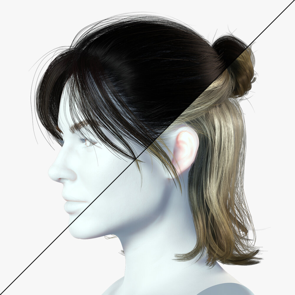 Half-up Hair Bun with Bangs 3D model - Download Character on 3DModels.org