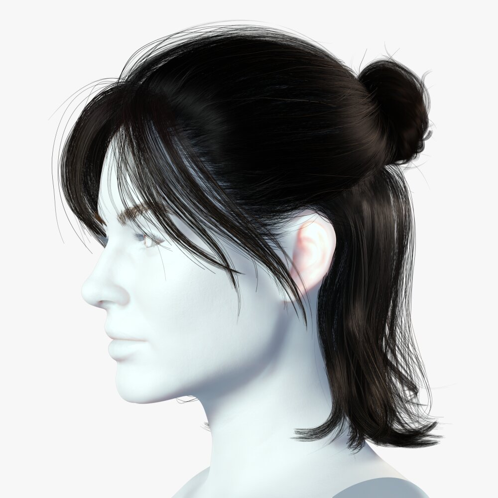 Half-up Hair Bun with Bangs 3D model - Download Character on 3DModels.org