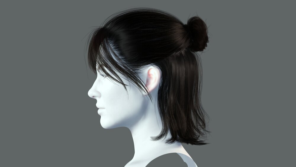 Half-up Hair Bun with Bangs 3D model - Download Character on 3DModels.org