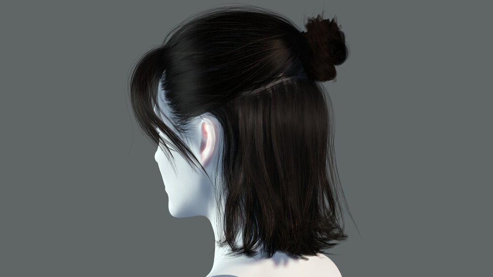 Half-up Hair Bun with Bangs 3D model - Download Character on 3DModels.org