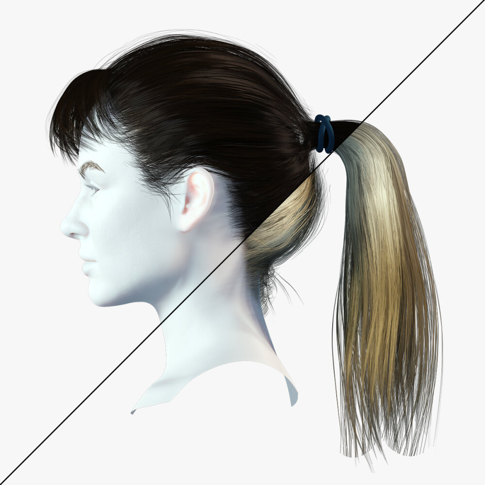 Sleek High Ponytail with Bangs 3D model - Download Character on ...