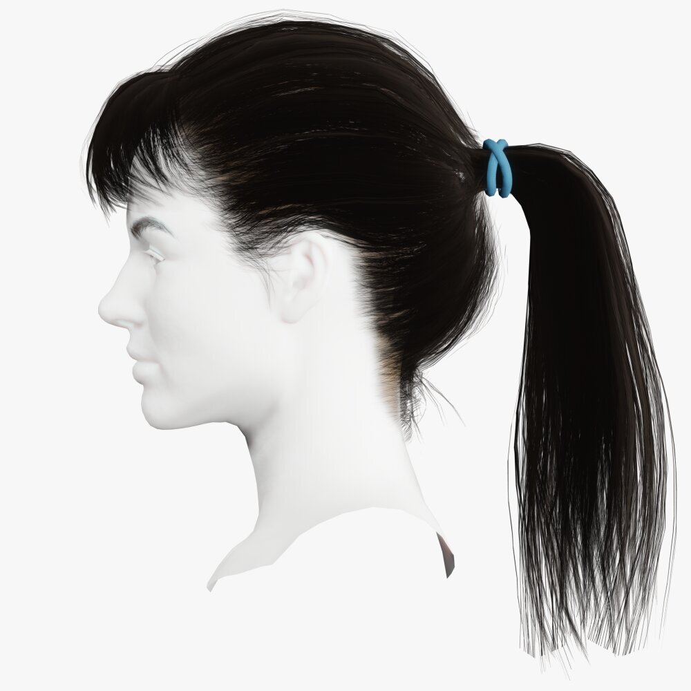 Sleek High Ponytail with Bangs 3D model - Download Character on ...