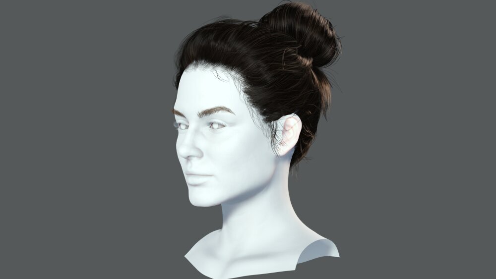 Elegant Full Bun Hairstyle 3D model - Download Character on 3DModels.org