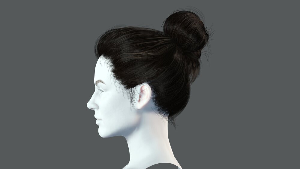 Elegant Full Bun Hairstyle 3D model - Download Character on 3DModels.org