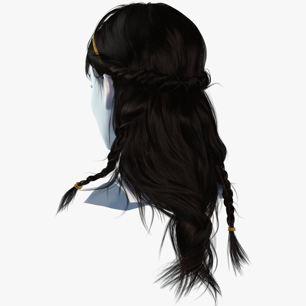 Long Black Hair with Braids 3D model - Download Character on 3DModels.org