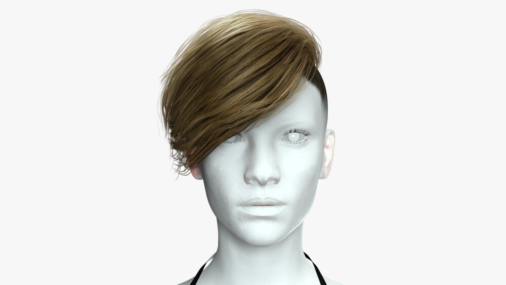 Smoothly Layered Asymmetrical Pixie Cut 3D model - Download Character ...