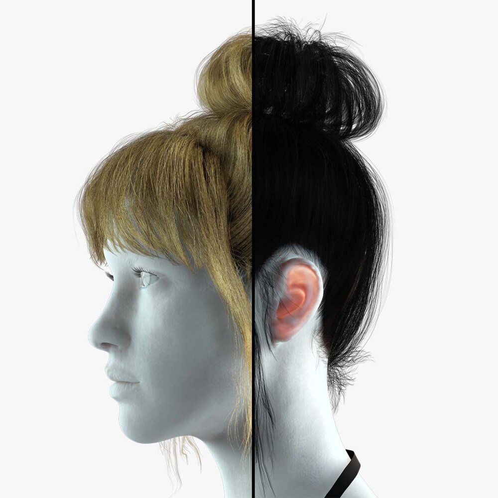 Classic High Bun with Wispy Bangs 3D model - Download Character on ...