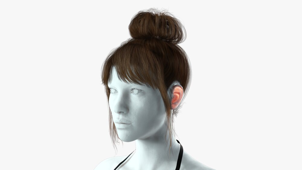 Classic High Bun with Wispy Bangs 3D модель - Скачати Character на ...