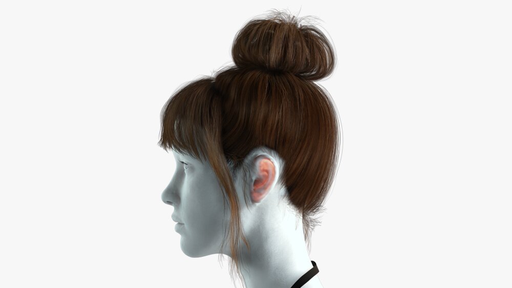 Classic High Bun with Wispy Bangs 3D модель - Скачати Character на ...