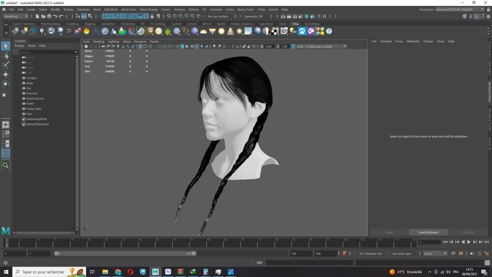 Peinado con Trenzas Gemelas con Raya al Centro Modelo 3D - Descargar ...
