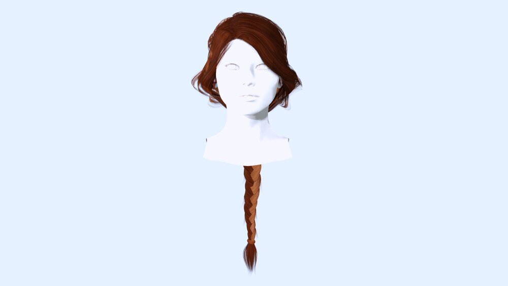 Long Thick Braid Hairstyle 3D model - Download Character on 3DModels.org