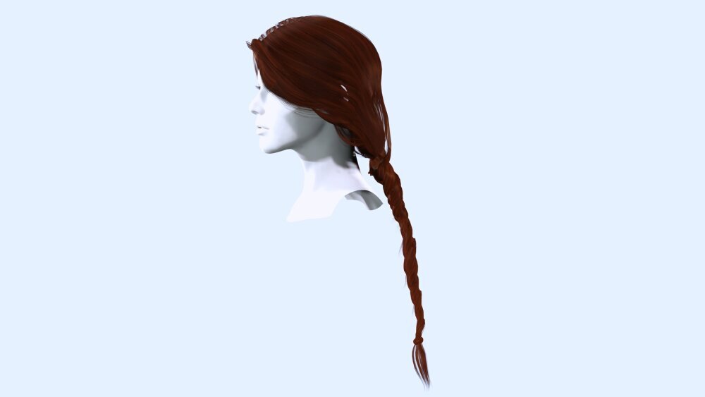 Long Thick Braid Hairstyle 3D model - Download Character on 3DModels.org