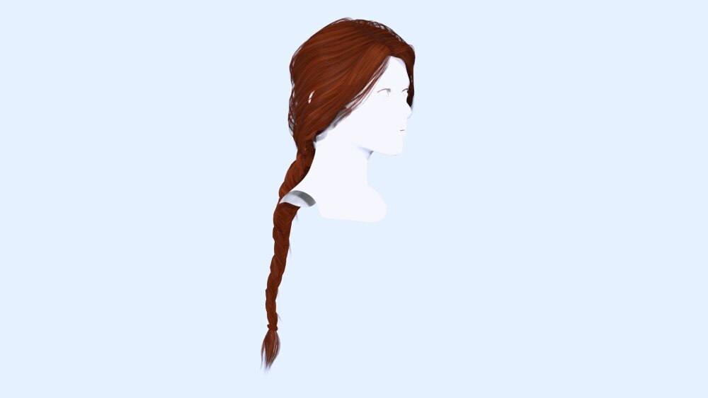 Long Thick Braid Hairstyle 3D model - Download Character on 3DModels.org