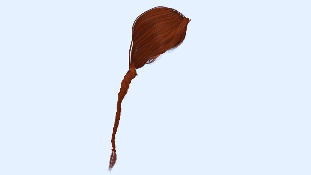 Long Thick Braid Hairstyle 3D model - Download Character on 3DModels.org